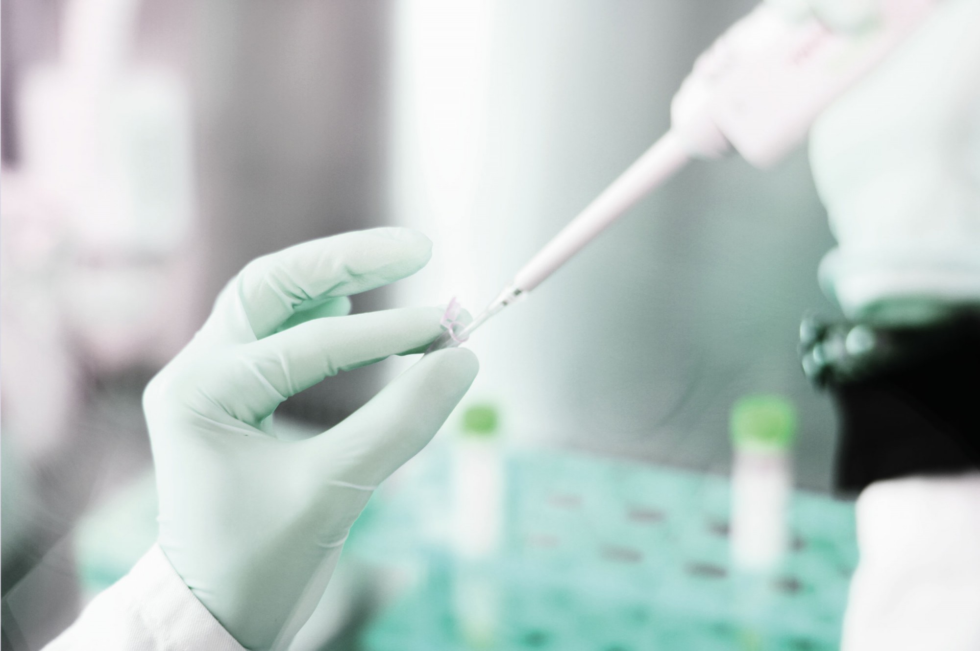 Fotografie | Labor, Wissenschaft und Lebewesen - Creative Material